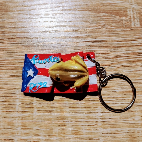 Other | Puerto Rico Coqui Keychain | Poshmark